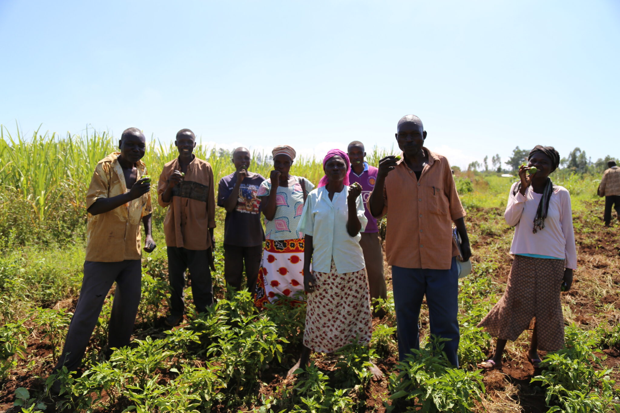 Funding for UK charities working in Africa and the Indian sub-continent ...
